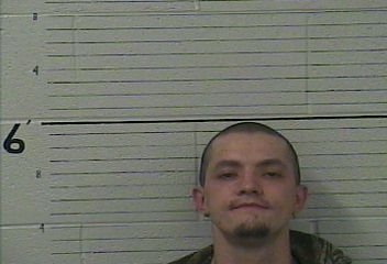 Stolen vehicle suspect arrested – McCreary Journal